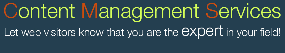 Web Design in Wesley Chapel | Florida Business Sites Foo Web Development